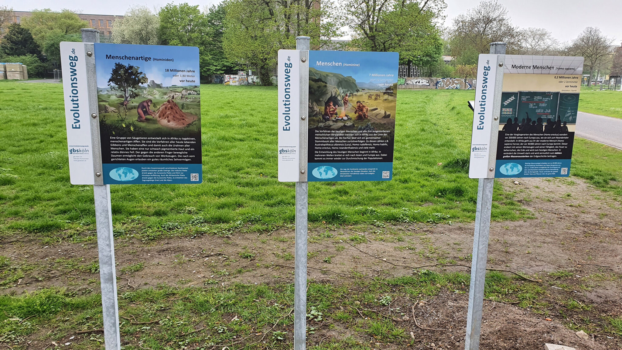 The Evolution Path Project: Bringing Earth's history to life, meter by ...